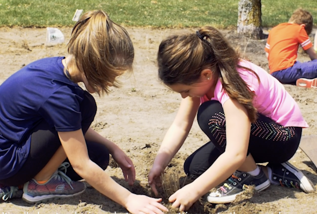 Honoring 50 Years of Environmental Activism with 50 New Rain Gardens ...
