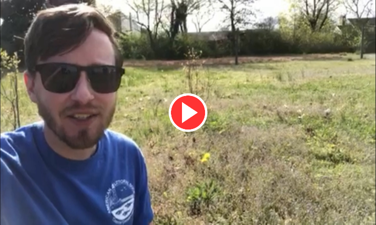 Backyard Water Conservation - New Jersey Landscape Makeover