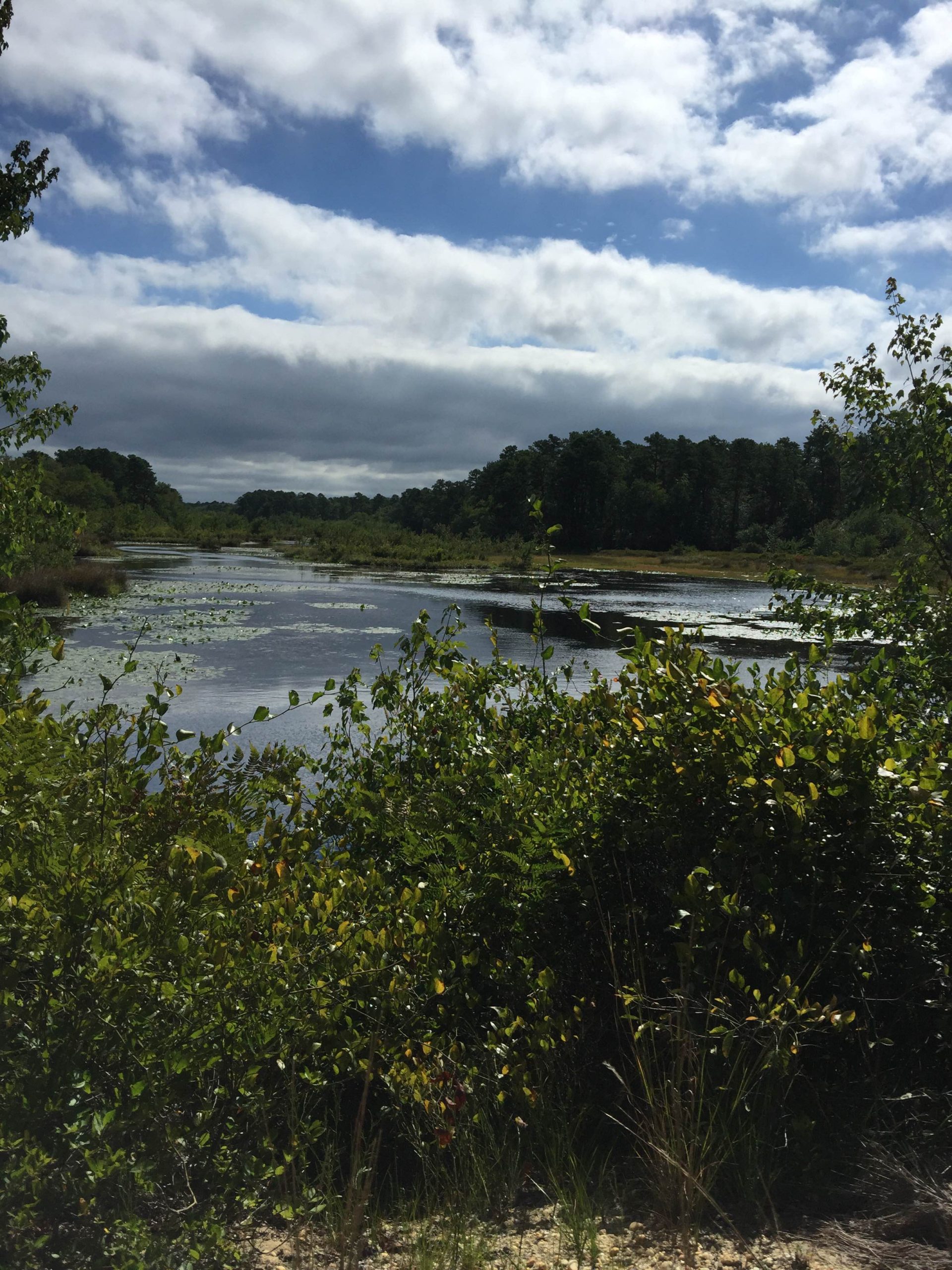 Land Preservation leads to important preservation opportunity - New ...